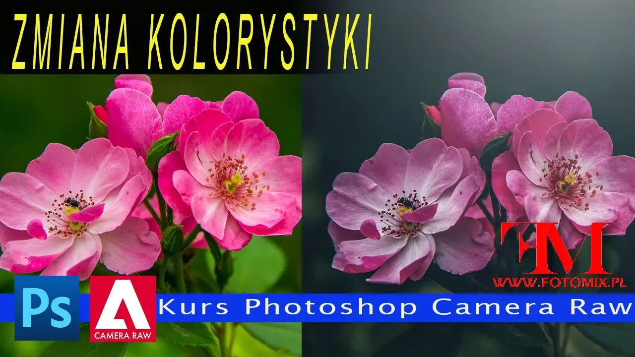 Efekt zmiany kolorystyki fotografii. Dodatkowo użycie Camera Raw ...